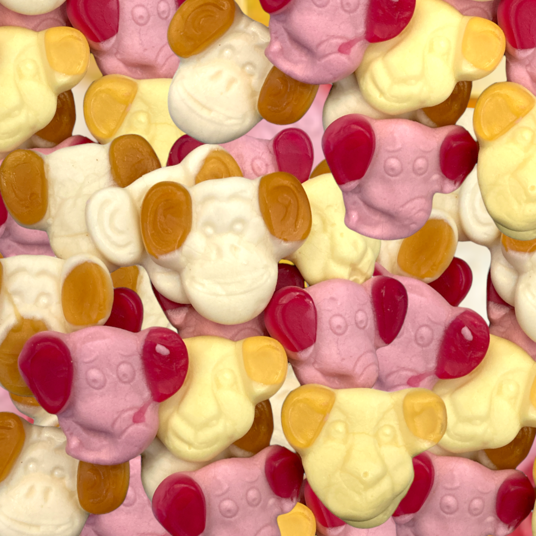 Zoo Animals – Poppin Candy