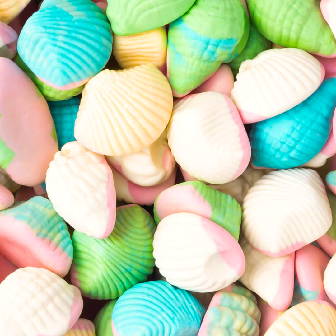 Foam Seashells – Poppin Candy