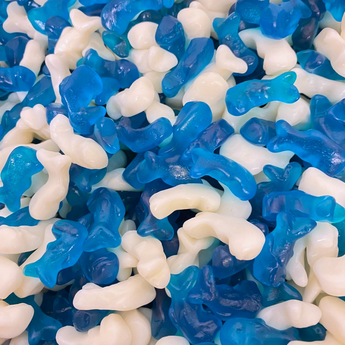Baby Dolphins – Poppin Candy